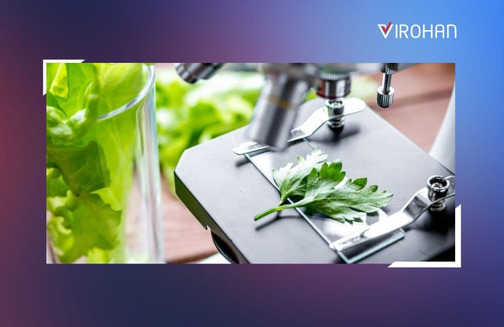 BSc Food Technology Course: Eligibility, Job and Salary (2023)