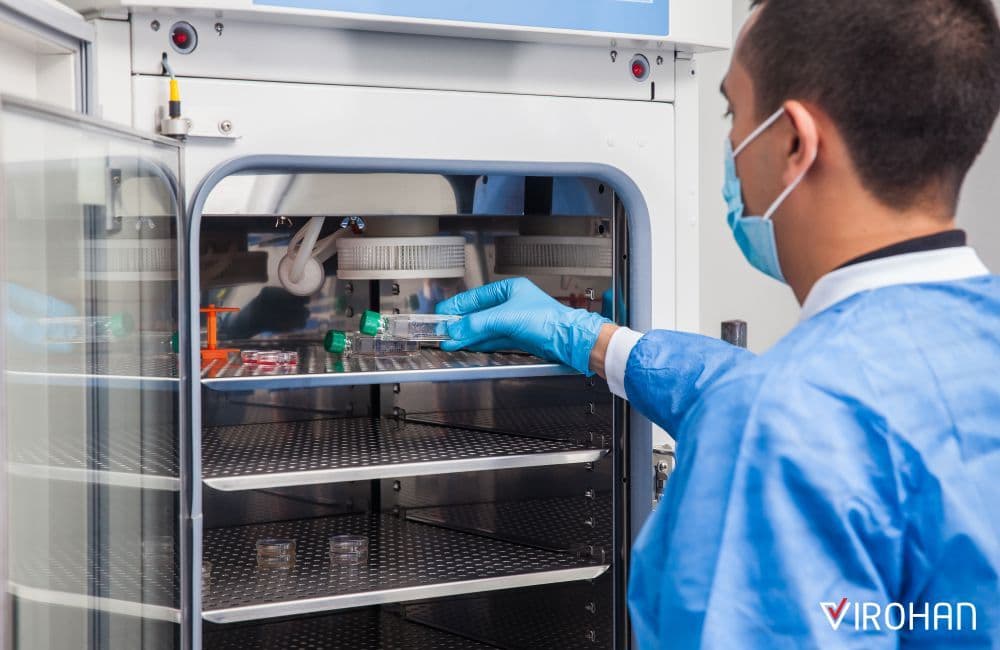 Most Useful Medical Equipment for Medical Lab Technicians